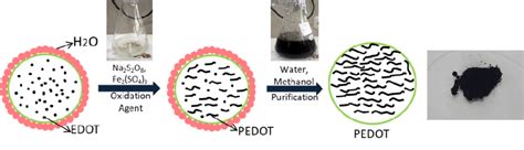 Schematic Route Of Synthesis Pedot Via Oxidative Polymerisation