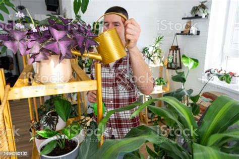 남자는 집 안의 선반에서 사랑으로 자란 물 뿌리개에서 희귀종 수집품에서 집 식물에 물을 줍니다 가정 식물 재배 온실 물 균형 30 34세에 대한 스톡 사진 및 기타 이미지