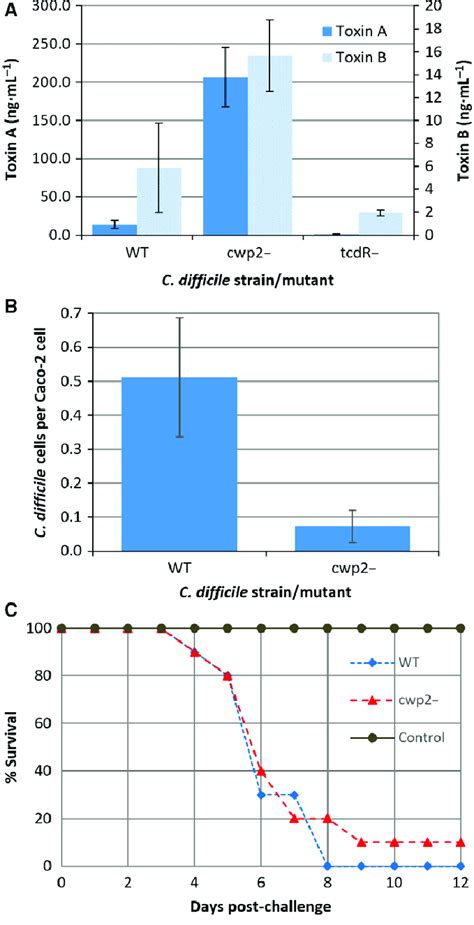Cwp2 À Mutant Characterization A Estimation Of Tcda And Tcdb Download Scientific Diagram