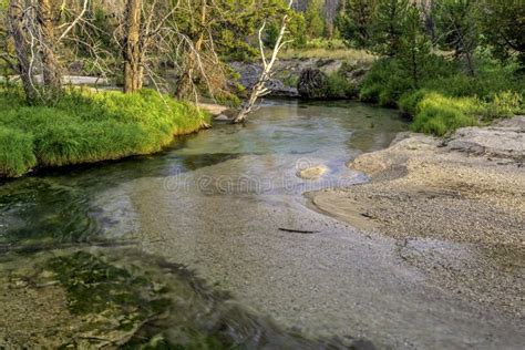 River Gravel And Stream With Trees And Grass Stock Image Image Of