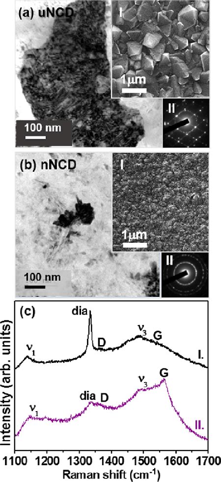 Tem Micrographs With Corresponding Sem Micrographs Shown As Inset I And