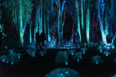 Moama Lights Mandylights