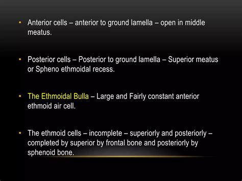 Ethmoid Bone Anatomy Pptx