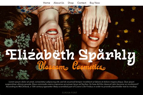 Elrosa Modern Display Font Type Class Heroes