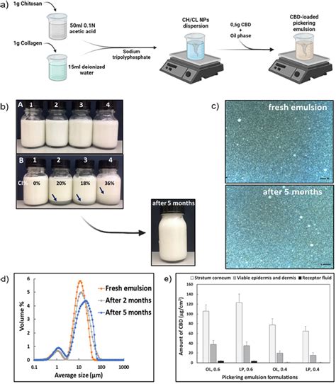 A Schematic Representation Of The Preparation Process Of Chcl Nps And
