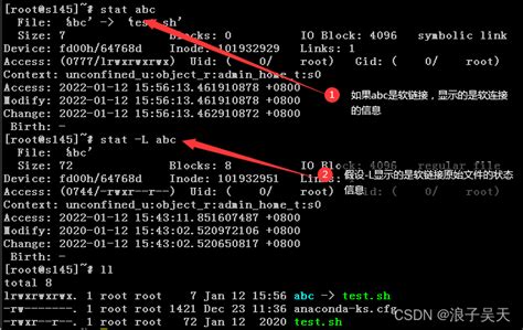 Linux命令之stat命令linux Stat Csdn博客