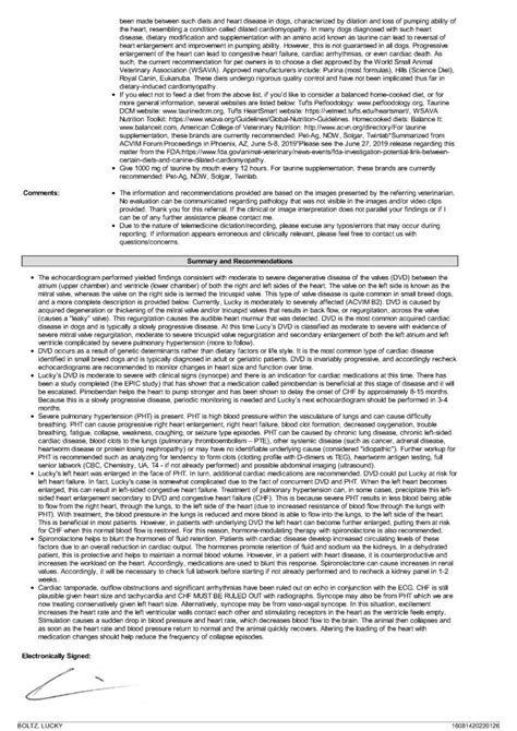 Echo Report Cardiac Vet Inc