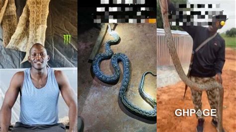 Soldier Shares How He Killed And Used A Huge Python Sent To ‘attack Him At Night