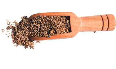 Celery Seed Herb Magickal Correspondences Virtual Greencraft Grmoire