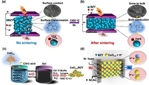 Schematic Of The Proposed Design Ideas For Surface Proton Conduction Download Scientific