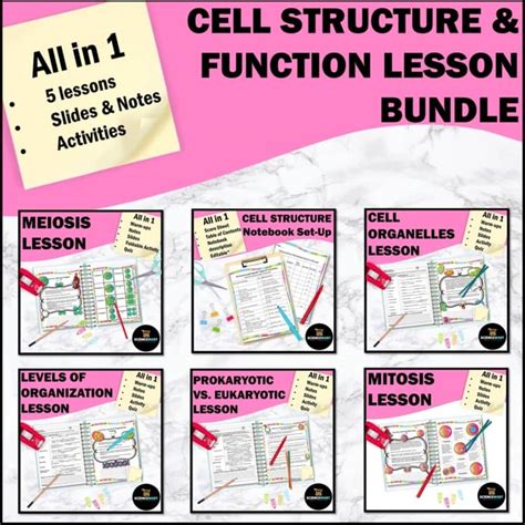Cell Organelles Structure And Function Notes Slides Activity Cells