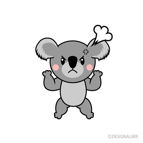 Angry Koalas