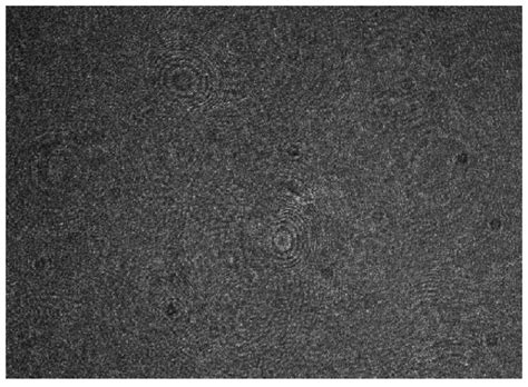 1 Example Of A Typical Particle Hologram Taken From Wind Tunnel