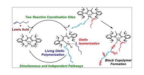 Deciphering The Olefin Isomerization Polymerization Paradox Of Palladiumii Diimine Catalysts