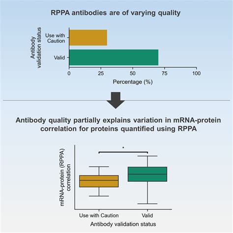 Swathis Paper On The Influence Of Antibody Quality On Mrna Protein Correlations Ucd Cancer