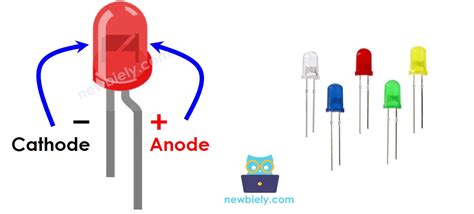Raspberry Pi Led Raspberry Pi Tutorial