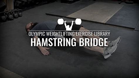 Hamstring Bridge Olympic Weightlifting Exercise Library Demo Videos