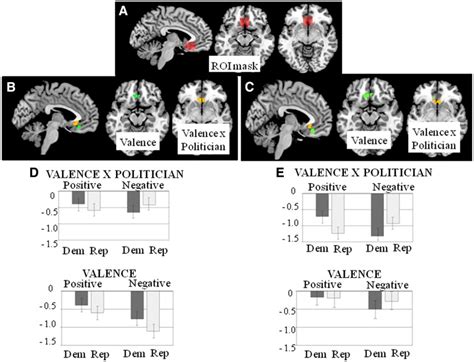 The Functional Role Of Ventral Anterior Cingulate Cortex In Social Evaluation Disentangling