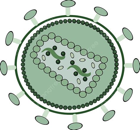 Aids Virus Structure