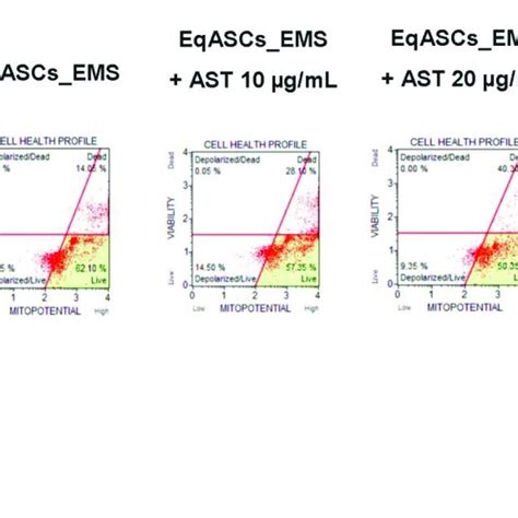 list of antibodies employed for protein profiling using western blot
