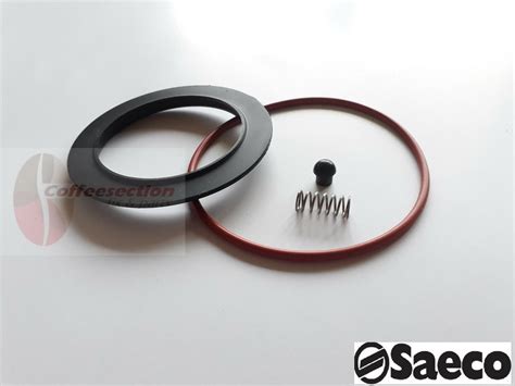 Saeco Set Repair Kit For Nina Starbucks Sirena Gaggia Pure Color
