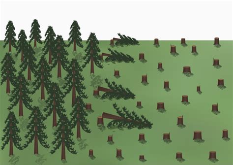 Cartoon Cutting Down Trees Vector Images Over