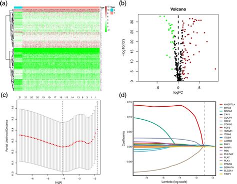 Identification Of A Novel Anoikis‐related Gene Signature To Predict Prognosis And Tumor