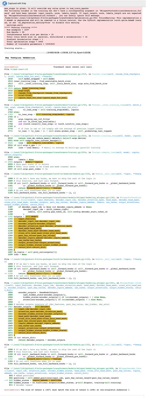 Trainer Runtimeerror The Size Of Tensor A 462 Must Match The Size Of
