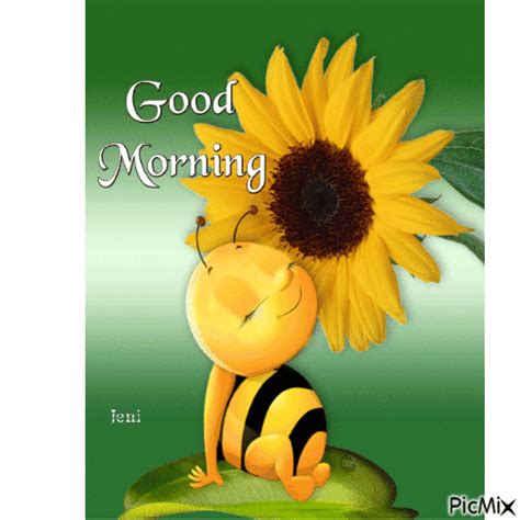 Sunflowers Good Morning  At Mariam Mountgarrett Blog