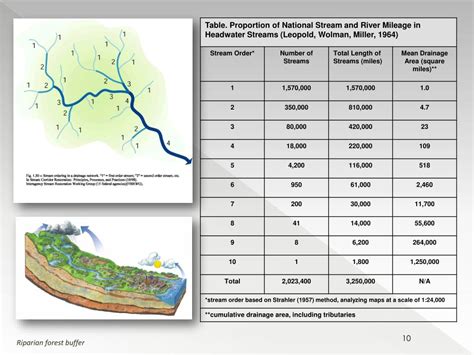 Ppt Riparian Forest Buffer Powerpoint Presentation Free Download
