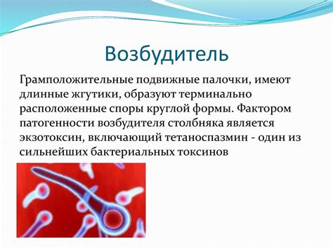 Столбняк. Возбудитель - презентация онлайн