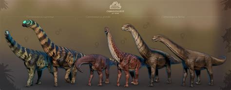 All Dinosaurs In Prehistoric Kingdom Protectionnored