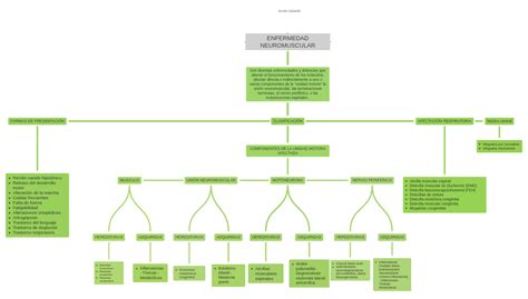 Enfermedad Neuromuscular Elkin Cadavid Coggle Diagram