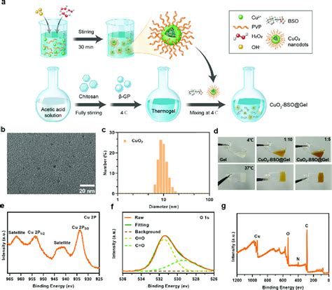 Synthesis And Characterizations Of Multifunctional Thermogel Cuo 2 Download Scientific Diagram