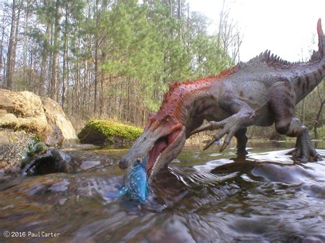 Baryonyx Facts 8 Most Curious Questions You Will Love