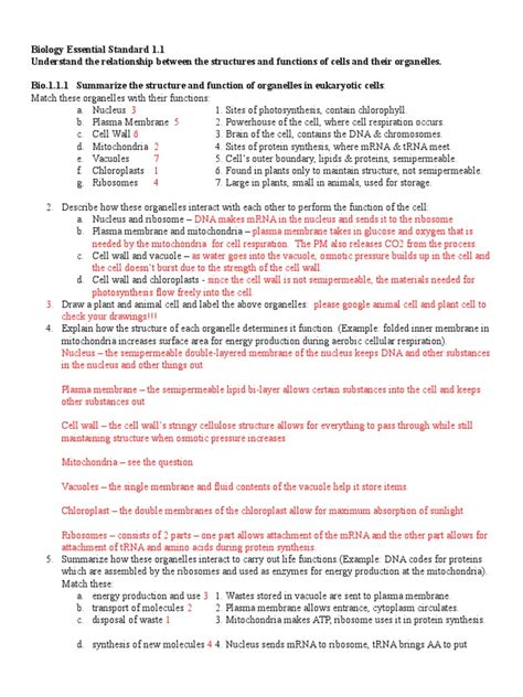 Biology Eoc Review Cell Structure And Function Pdf Dominance