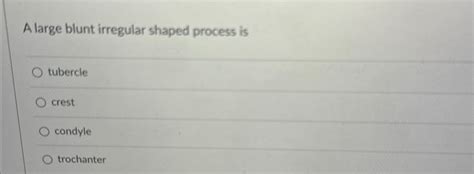 Solved A Large Blunt Irregular Shaped Process