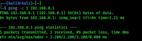 Использование Ping на Kali Linux