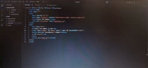 Webdevelopment Javascript Coding Frontend Randomnumbergame Leelamadhusri Balla