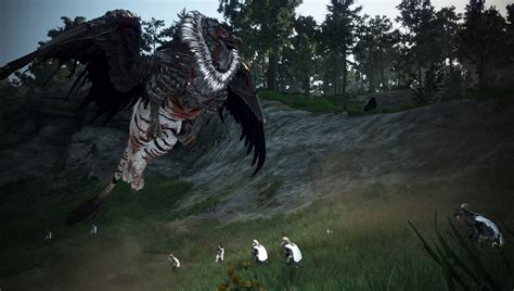 Panduan Guild Raid Boss Ahib Griffon Black Desert Online Jonooit