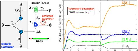 left antithetic integral controller in feedback with a gene expression