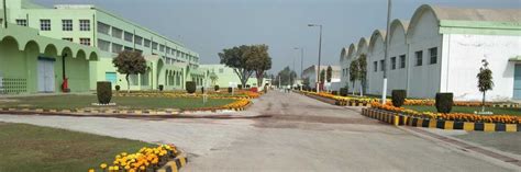 Cphl Forms Jv With Hangzhou Newsea Technology Co To Prodcue Apis Trade Chronicle