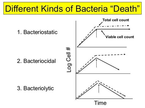 Bacterial Growth