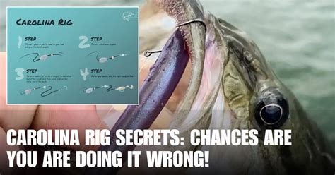 The Carolina Rig For Bass Full Set Up Guide And Tips