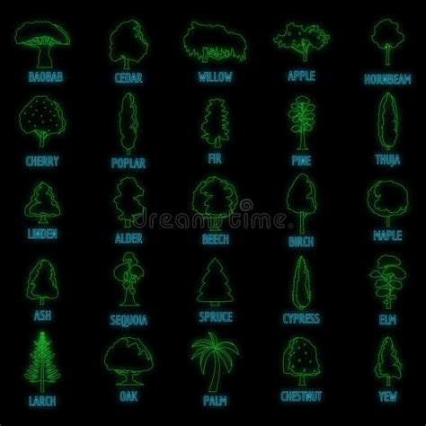 Tree Types Icons Set Vector Neon Stock Vector Illustration Of Pine Tree 293662992 Tree Types Icons Set Vector Neon Stock Vector Illustration Of Pine Tree 293662992