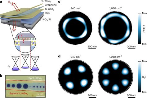 Whispering Gallery Modes In Suspended Graphene Plasmonic Cavities Download Scientific Diagram
