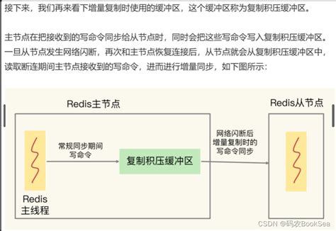 【redis】redis知识点阶段性总结 2 阿里云开发者社区