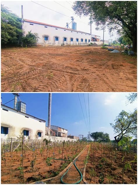 Saikiran Golluri On Linkedin Sustainability Liveunited Greenplanet