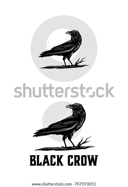 Black Crow Illustration Stock Vector Royalty Free 707593051