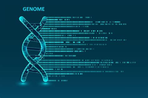 Genome Sequence